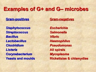 02 morphology and_structure_2009 | PPT