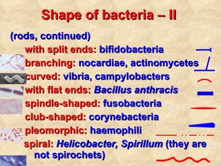 02 morphology and_structure_2009 | PPT