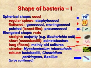 02 morphology and_structure_2009 | PPT