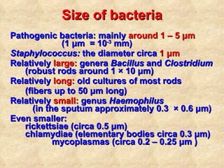 02 morphology and_structure_2009 | PPT