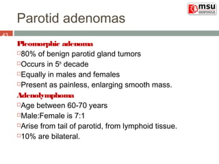 02 msu tumors of head and neck hajhamad m | PPT