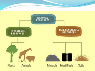 02 natural resources | PPTX
