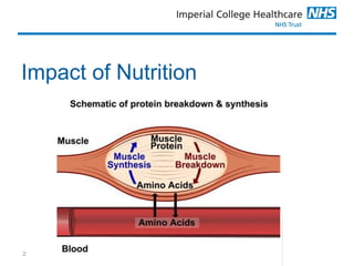 Nutrition interventions for frailty and sarcopenia | PDF