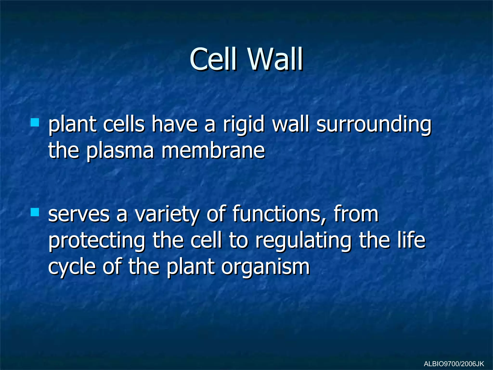 02 Organelles in animal and plant cells | PPT