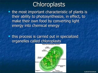02 Organelles in animal and plant cells | PPT