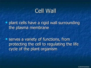 02 Organelles in animal and plant cells | PPT