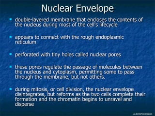 02 Organelles in animal and plant cells | PPT
