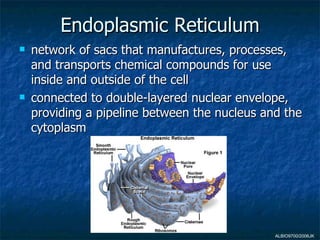 02 Organelles in animal and plant cells | PPT
