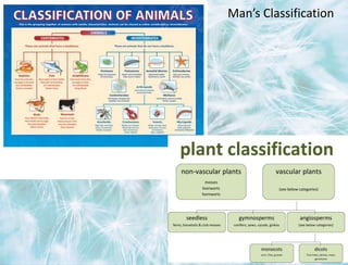 Session 02 Old Testament Overview - Genesis 1-11 | PPTX