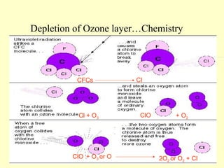 02 ozone depletion | PPT