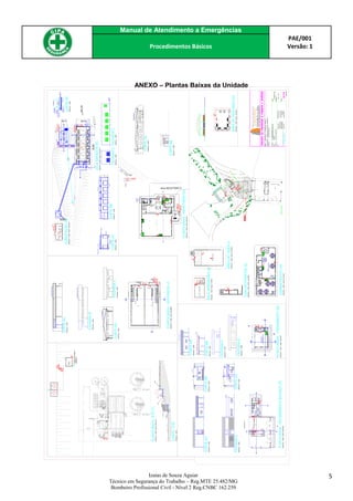 PAE 2 - Procedimento Báscico de Emergência | PDF