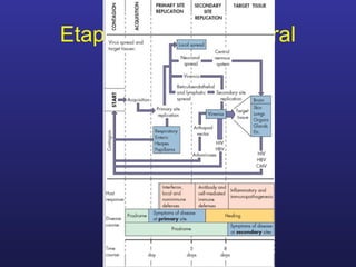 02 Patogénesis Viral | PPT
