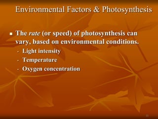 02 Photosynthesis Calvin Cycle Light Independent Reactions.pptx