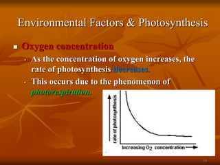 02 Photosynthesis Calvin Cycle Light Independent Reactions.pptx