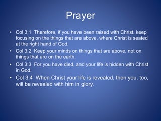 Parables of the Kingdom: The Sower | PPTX