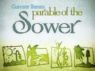 Parables of the Kingdom: The Sower | PPTX