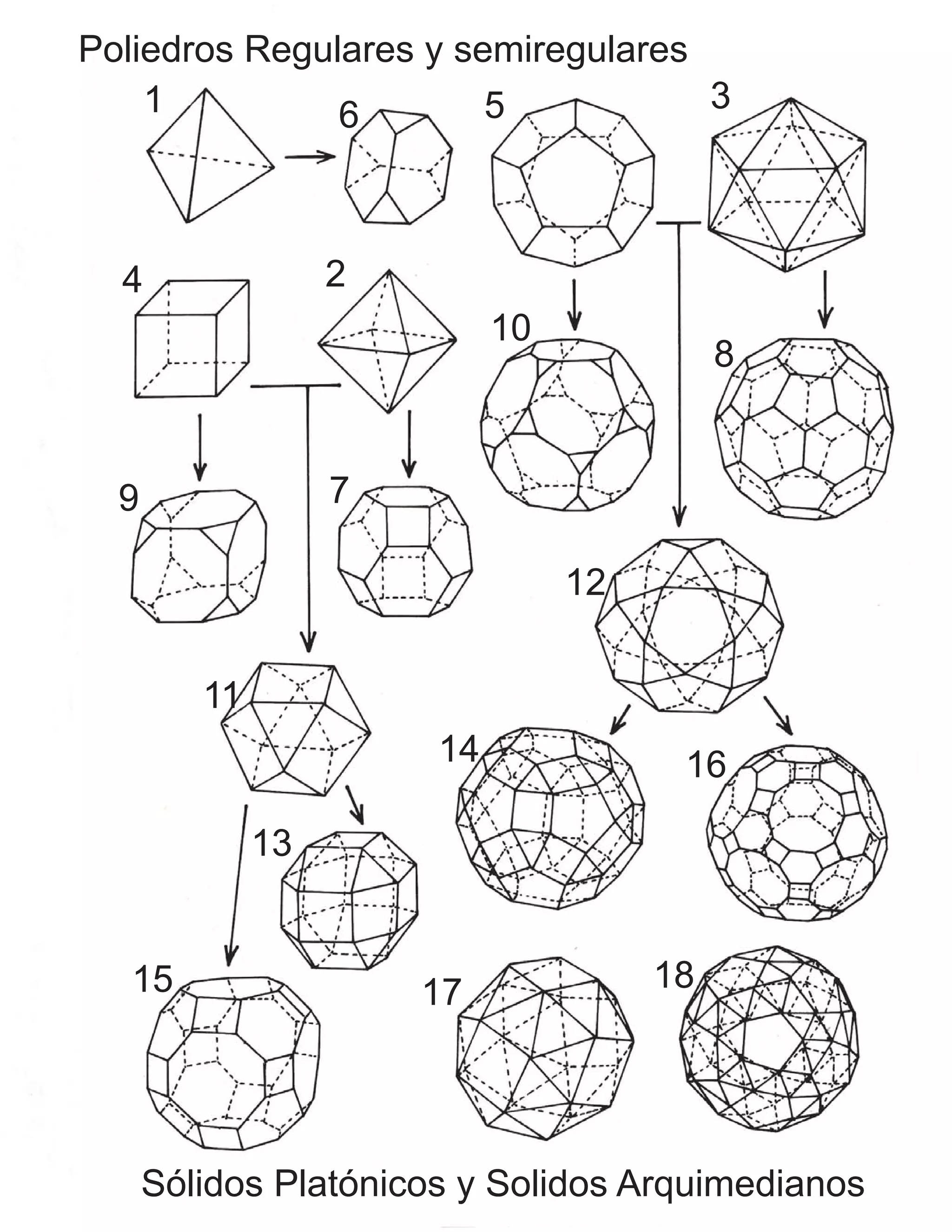 ORIGAMI MODULAR EN POLIEDROS | PDF