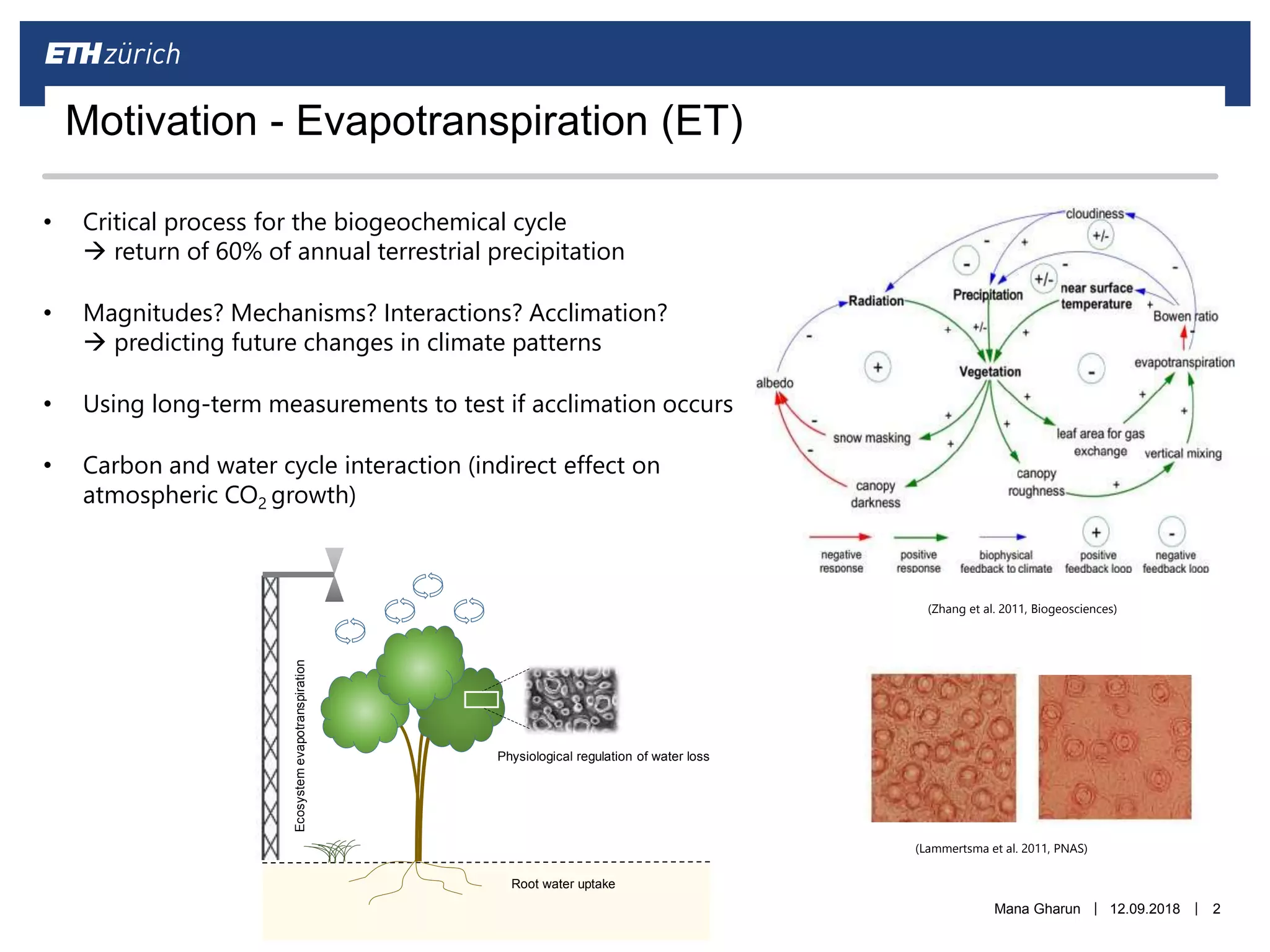 Twenty years of evapotranspiration measurements over a sub-alpine ...