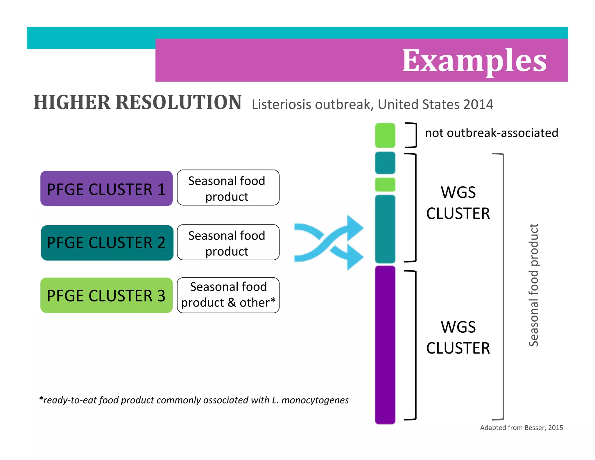 Whole Genome Sequencing (WGS): How significant is it for food safety? | PDF