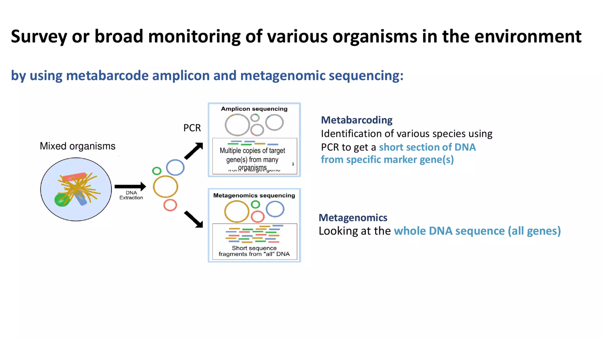 eDNA metabarcoding and metagenomics in discovery of microbial strains ...