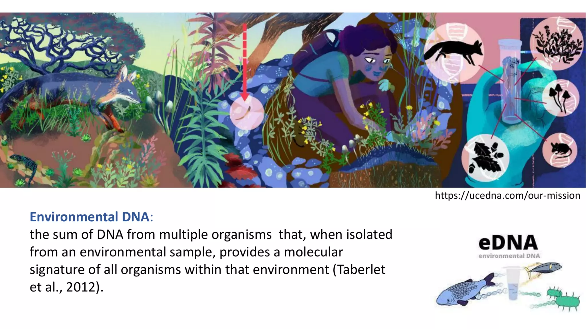 eDNA metabarcoding and metagenomics in discovery of microbial strains ...