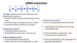 eDNA metabarcoding and metagenomics in discovery of microbial strains ...