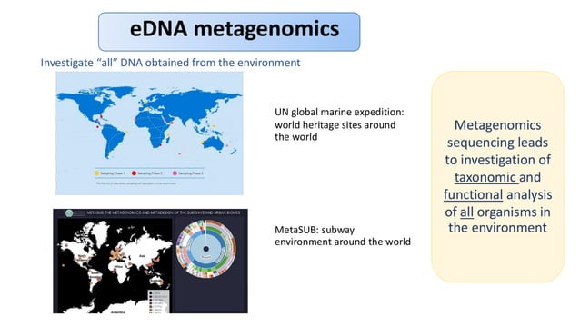 eDNA metabarcoding and metagenomics in discovery of microbial strains ...