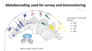 eDNA metabarcoding and metagenomics in discovery of microbial strains ...