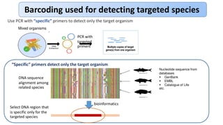 eDNA metabarcoding and metagenomics in discovery of microbial strains ...