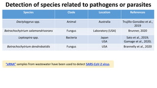 eDNA metabarcoding and metagenomics in discovery of microbial strains ...
