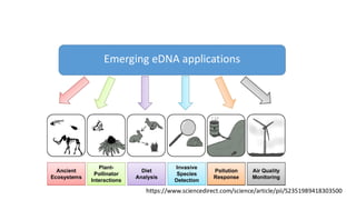 eDNA metabarcoding and metagenomics in discovery of microbial strains ...