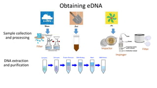 eDNA metabarcoding and metagenomics in discovery of microbial strains ...