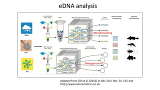 eDNA metabarcoding and metagenomics in discovery of microbial strains of interest | PDF