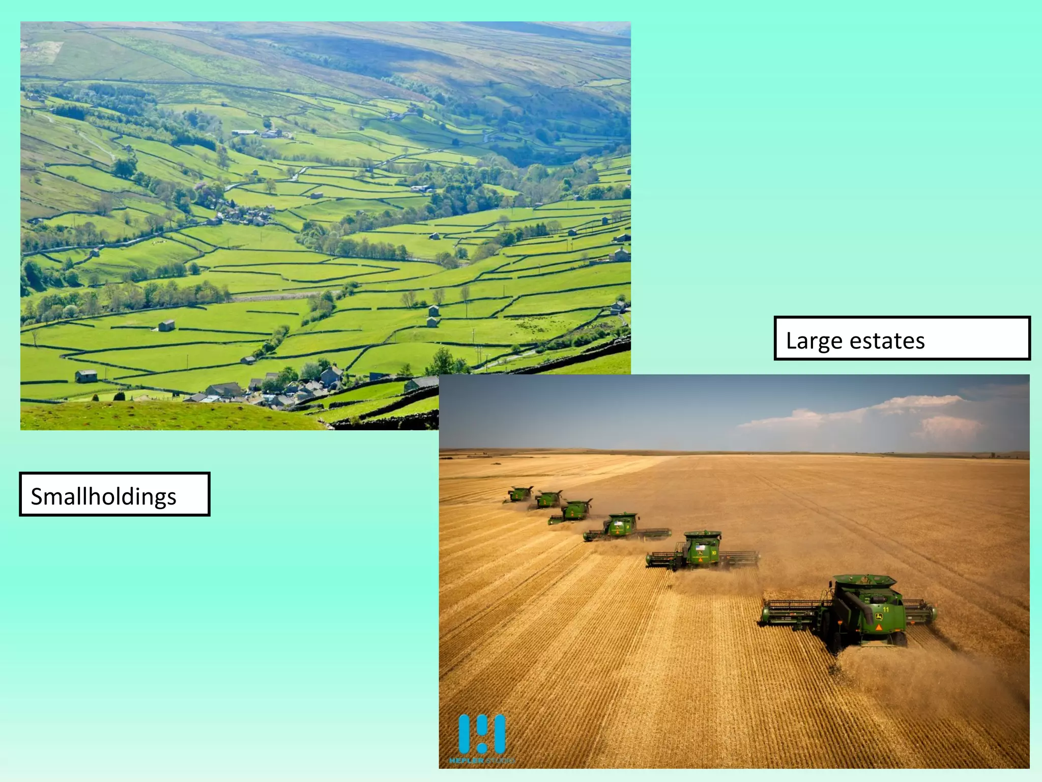 Primary Sector - Introduction | PPT