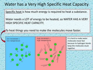 02 Properties of Water | PPT