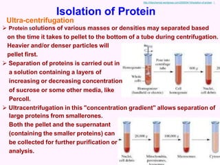 02 Protein Isolation02 Protein Isolation | PPTX