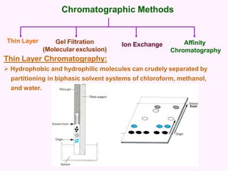 02 Protein Isolation02 Protein Isolation | PPTX