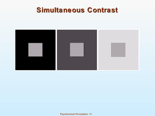 02 psychovisual perception DIP | PPT