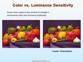 02 psychovisual perception DIP | PPT