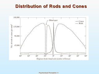 02 psychovisual perception DIP | PPT
