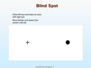 02 psychovisual perception DIP | PPT