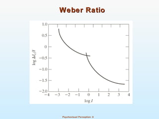 02 psychovisual perception DIP | PPT
