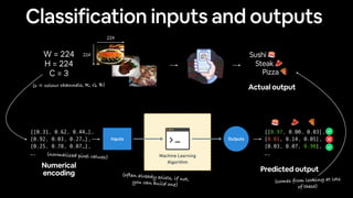 02_pytorch_classification.pdf might be the | PPT