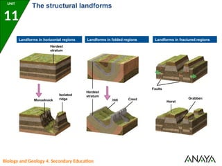 02_reliestructu_eng (1fsdfsfsfsfsfsfd).ppt