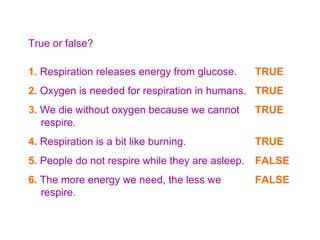 Y8 Humans 02 respiration | PPT