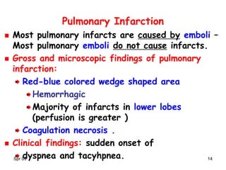 02 respiratory vascular | PPT