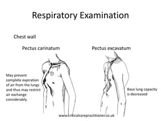 Structured examination of the Respiratory System | PPTX | Lung and ...
