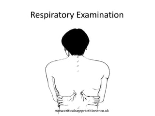 Structured examination of the Respiratory System | PPTX