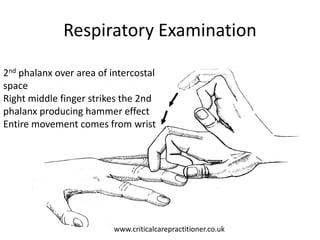 Structured examination of the Respiratory System | PPTX