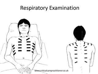 Structured examination of the Respiratory System | PPTX | Lung and ...